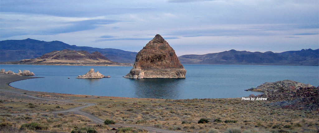 Pyramid Lake – Cindy S. Vincent, Ph.D.